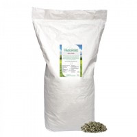 Niere beim Pferd mit Kräutern entgiften - MASTERHORSE HAEMOCLEAR.